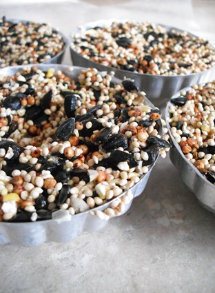 A Woman's Haven: Birdie Love: Tweet Treats